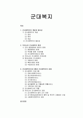 [사회복지 개론] 군대복지 - 군사회복지의 개념과 필요성 및 우리나라 군사회복지 환경, 군사회복지프로그램과 군사회복지의 과제 -1페이지