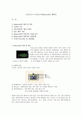 [로보코드] 로보코드(Robocode) 제안서-1페이지