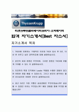 TKEK 티센크루프엘리베이터코리아 (오퍼레이터) 자기소개서, 티센크루프엘리베이터코리아 자기소개서, 티센크루프엘리베이터코리아 자소서-1페이지