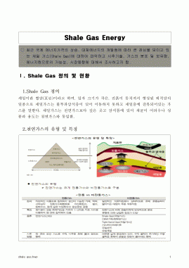  Shale Gas Energy-1페이지