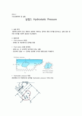 정유 체압 Hydrostatic Pressure 실험-1페이지