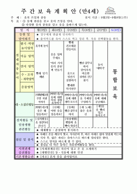 평가인증 만4세 9월 프로젝트/옷 보육일지 (보육실습일지)-1페이지