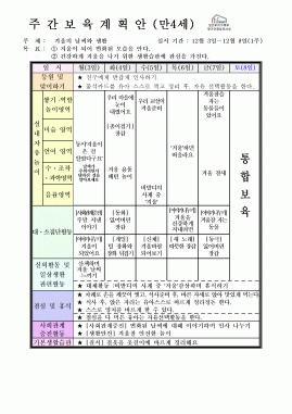 평가인증 만4세 12월 하얀겨울 보육일지 (보육실습일지)-1페이지