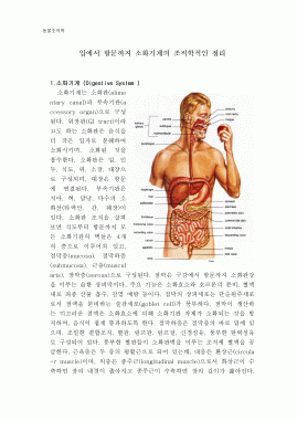 [동물조직학] 입에서 항문까지 소화기계(Digestive System)의 조직학적인 정리-1페이지