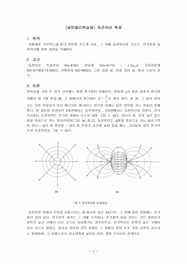 [일반물리학실험] 등전위선 측정-1페이지