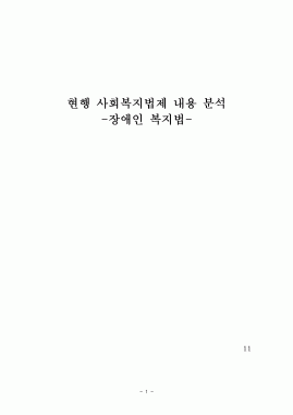  장애인 복지법-1페이지