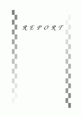  토질 보고서-1페이지