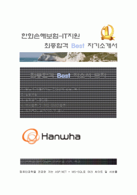 한화손해보험 합격자소서[IT지원 합격자] 한화손해보험 자기소개서,한화손해보험 자소서,한화손해보험 채용정보, 한화손해보험-1페이지