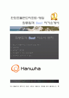 한화호텔앤드리조트 합격자소서[영업 합격자] 한화호텔앤드리조트 자기소개서,한화호텔앤드리조트 자소서,한화호텔앤드리조트 채용정보, 한화-1페이지