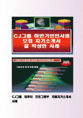 CJ그룹 컴퓨터 프로그램부 지원 자기소개서 사례-1페이지