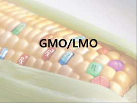 GMO, LMO에 관한 조별과제, GMO의 장점 단점, LMO의 장점 단점, 사례, GMO 현황, 유전자 변형 방법-1페이지