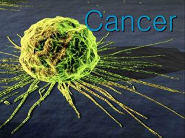 암에 관한 조별과제, Cancer 특 A++ 자료, 암유전자에 관해-1페이지