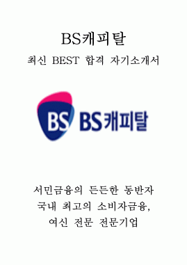  BS캐피탈 비에스캐피탈 영업 최신 BEST 합격 자기소개서!!!!-1페이지