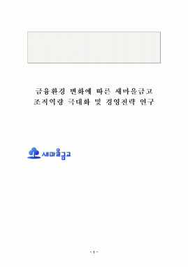  금융환경 변화에 따른 새마을금고 조직역량 극대화 및 경영전략 연구-1페이지