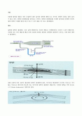  양력에 대하여-1페이지