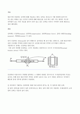 [공학/컴퓨터/통신] 항공기에 작용하는 응력-1페이지