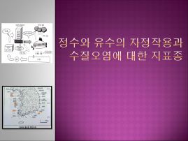 정수와 유수의 자정작용과 수질오염에 대한 지표종-1페이지