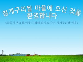 우수경영농가 사례 - 청개구리쌀 마을에 오신 것을 환영합니다 <공동의 목표를 이루기 위해 하나로 뭉친 청개구리쌀 마을>.pptx-1페이지