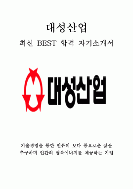 대성산업 회계 재무 최신 BEST 합격 자기소개서!!!!-1페이지