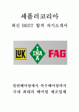 셰플러코리아 인사 최신 BEST 합격 자기소개서!!!!-1페이지