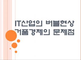 [IT산업] IT산업의 버블현상-거품경제형성으로 인한 문제점 PPT자료-1페이지