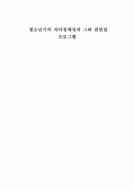 청소년기의 자아정체성과  그와 관련된 프로그램-1페이지