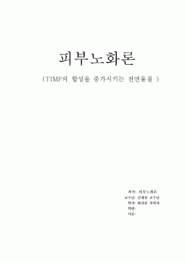 피부노화론-1페이지