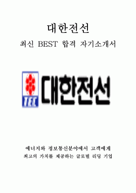  대한전선 인턴 해외영업 최신 BEST 합격 자기소개서!!!!-1페이지