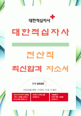 [대한적십자사-전산직-합격자] 대한적십자사 자기소개서,대한적십자사 자소서,대한적십자사 채용정보-1페이지