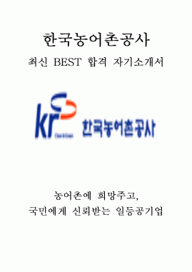 한국농어촌공사 전산 최신 BEST 합격 자기소개서!!!!-1페이지