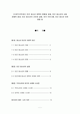 [사회복지학개론] 빈곤 청소년 정책의 현황과 과제, 빈곤 청소년의 사회 경제적 결과, 규모와 실태, 외국 프로그램, 빈곤 청소년 보호 방법 등-1페이지