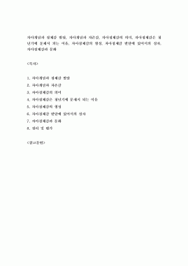 자아개념과 정체감 발달, 자아개념과 자존감, 자아정체감의 의미, 자아정체감은 청년기에 문제시 되는 이유, 자아정체감의 형성, 자아정체감 발달에 있어서의 성차, 자아정체감과 문화-1페이지