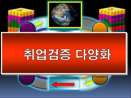 정식 취업검증 다양화-1페이지