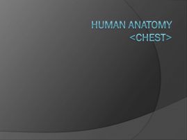 HUMAN ANATOMY -CHEST.PPT자료-1페이지