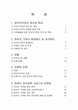 한부모 가족의 정의와 특성 발생원인과 증가원인 현황 실태와 문제-1페이지