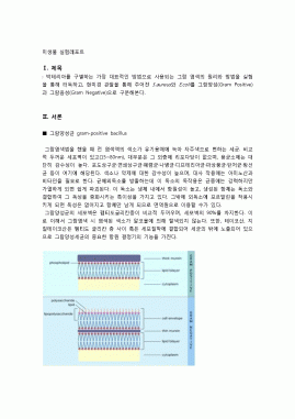 [미생물 실험] 그람 염색법과 세균의 그람양성여부 판별시험-1페이지