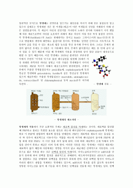 항생제에 대해-1페이지