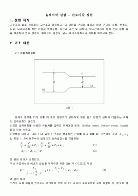 유체역학 실험 - 관로마찰 실험-1페이지