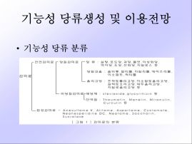 [식품학] 기능성 당류생성 및 이용전망.ppt-1페이지