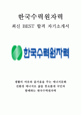 한국수력원자력 대졸수준 인턴 최신BEST 합격 자기소개서!!!!-1페이지