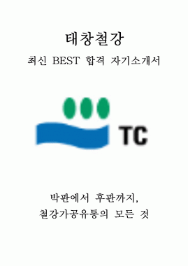 태창철강 최신 BEST 합격 자기소개서!!!!-1페이지