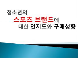 청소년의 스포츠 브랜드에 대한 인지도와 구매성향, 스포츠브랜드, 청소년구매성향,인지도와구매성향-1페이지