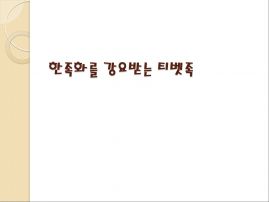 티벳의 역사와 문화,브랜드마케팅,서비스마케팅,글로벌경영,사례분석,swot,stp,4p-1페이지