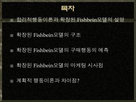 합리적 행동이론과 확장된 Fishbein모델, Fishbein모델의 구매행동, Fishbein모델마케팅,계획적행동이론,합리적행동이론-1페이지