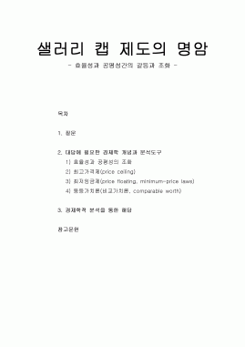 샐러리 캡 제도의 명암 - 효율성과 공평성간의 갈등과 조화-1페이지