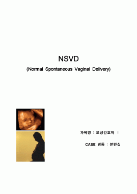 [모성간호학] 자연분만 NSVD(Normal Spontaneous Vaginal Delivery) 케이스 CASE-1페이지