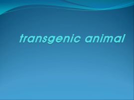 [발생공학] 형질전환 동물 transgenic animal.PPT자료-1페이지