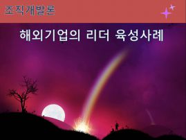 해외기업의 리더 육성사례-1페이지