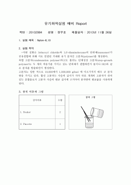 Nylon -6,10  예비 리포트-1페이지