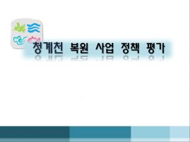 청계천 복원 사업 정책 평가.PPT자료-1페이지